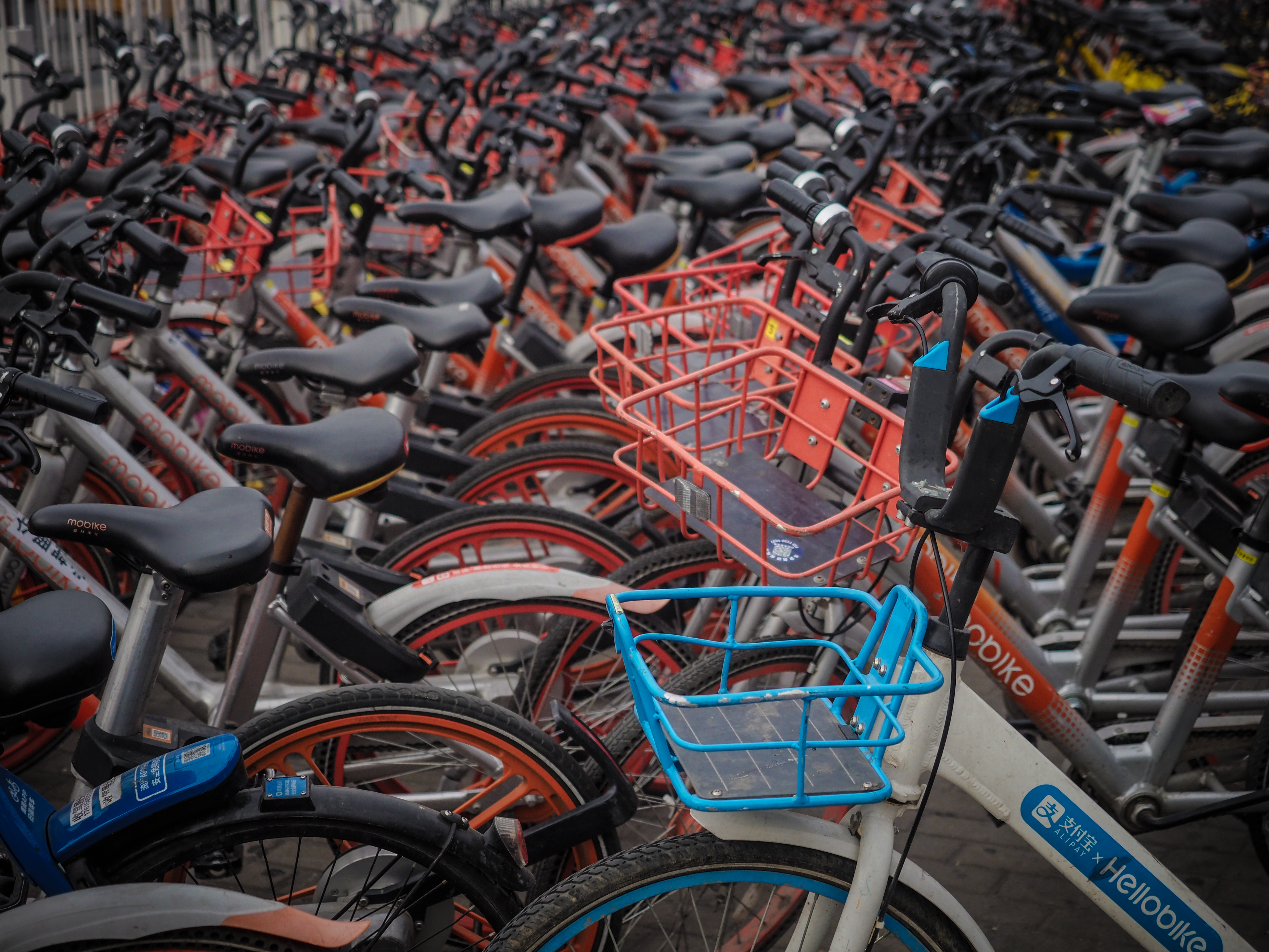 Bicycles in China | Shutterbug